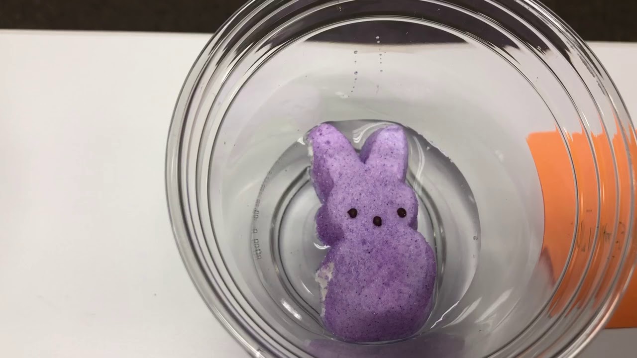 Easter Peeps Experiment - YouTube