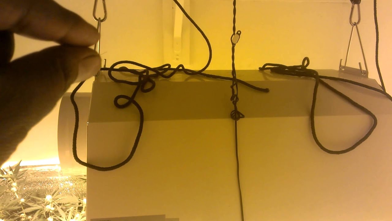 Cycle 3 Week 3 Flower - YouTube