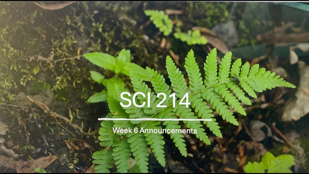Sci 214 Week 6 2025 - YouTube