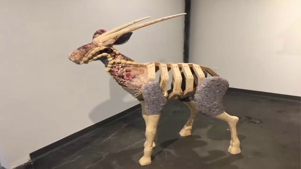 Most beautiful photos of Endangered Saola - YouTube