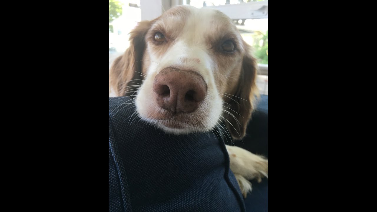 2025 Geometry Regents Review - YouTube