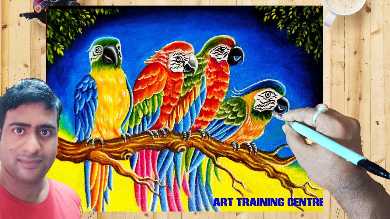 Macaw/scarlet/parrot/how to draw a Macaw/macaw drawing/breed/macaw ...