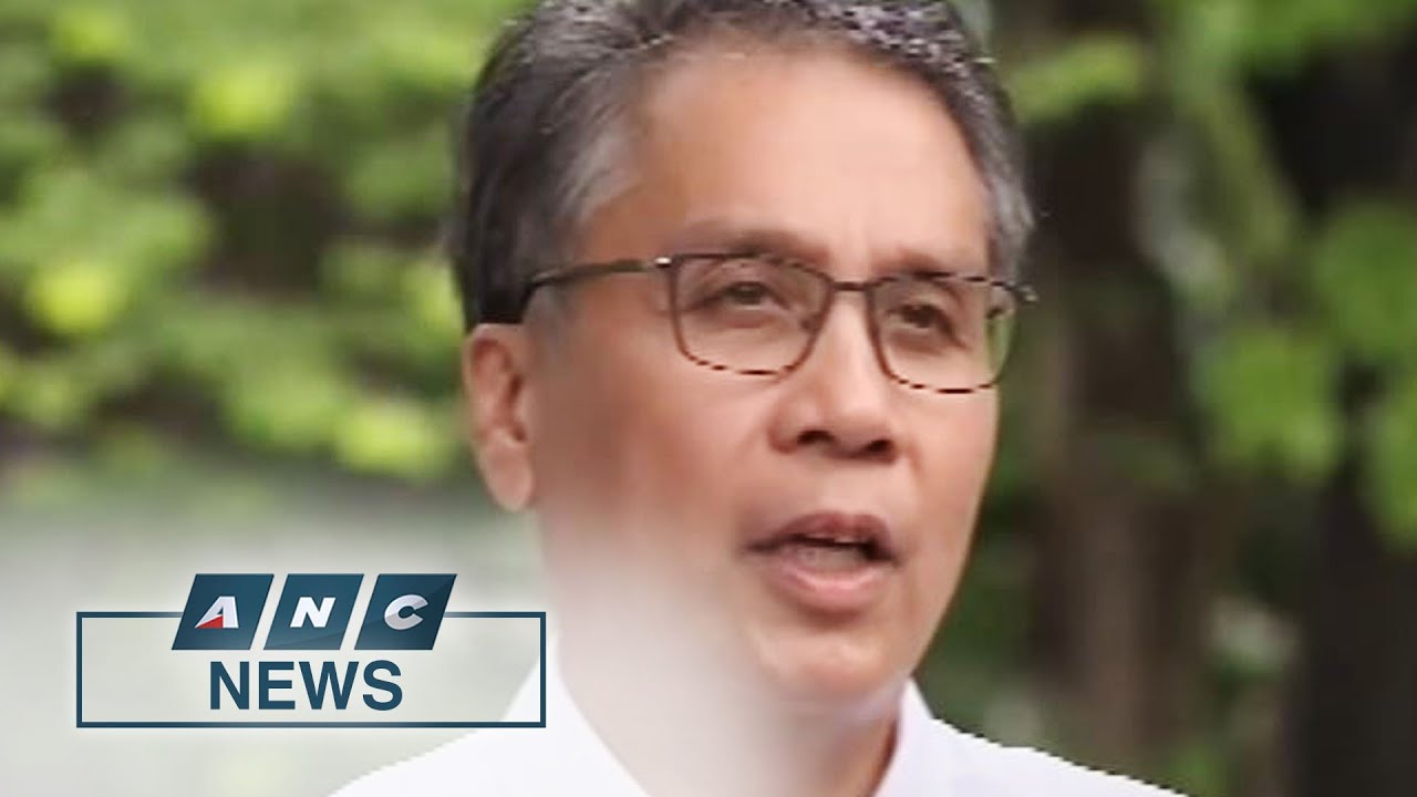 Mar Roxas brushes off Duterte's corruption claim as 'diversion' | ANC ...