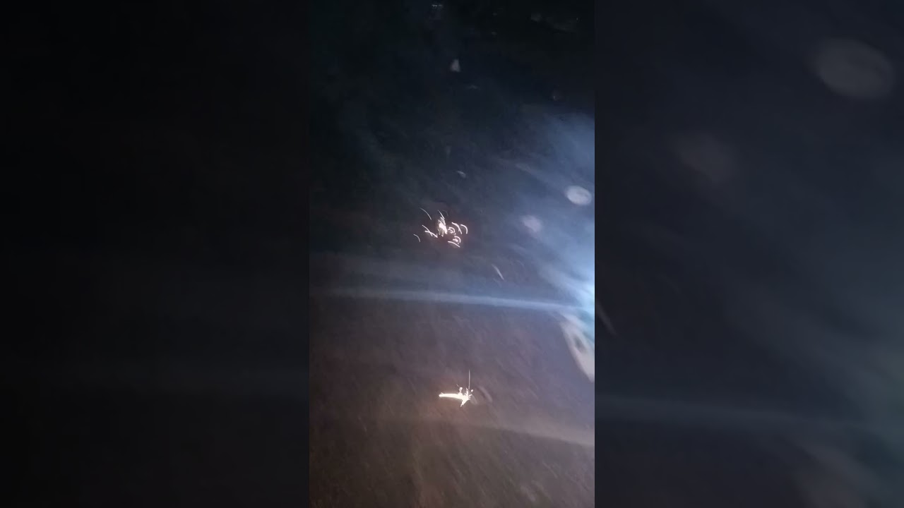 dancing butterfly cracker 💛🦋 - YouTube