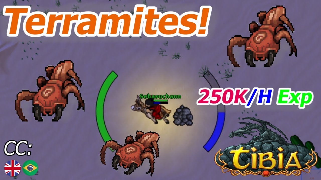 TIBIA [GUIA] Terramites | HUNT | LEVEL 40+ | XP: 250k/H - YouTube