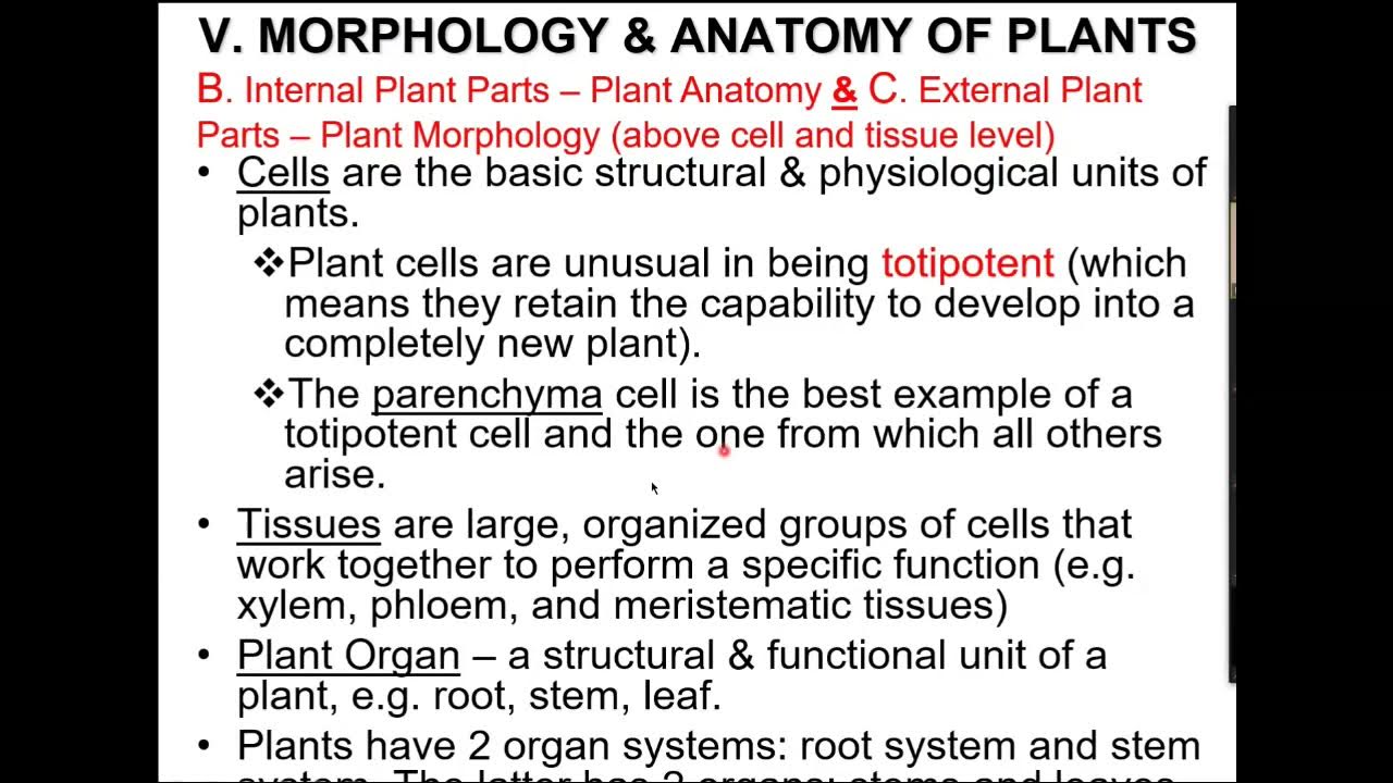 2021 02 21 Session 3 Morphology and Anatomy of Plants - YouTube