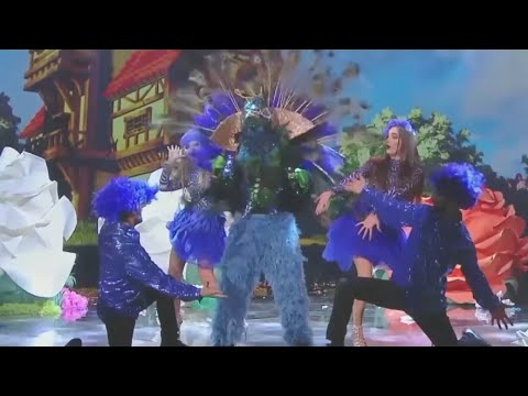 Maske Kimsin Sen Tavus Kuşu (Emre Altuğ) Maalesef