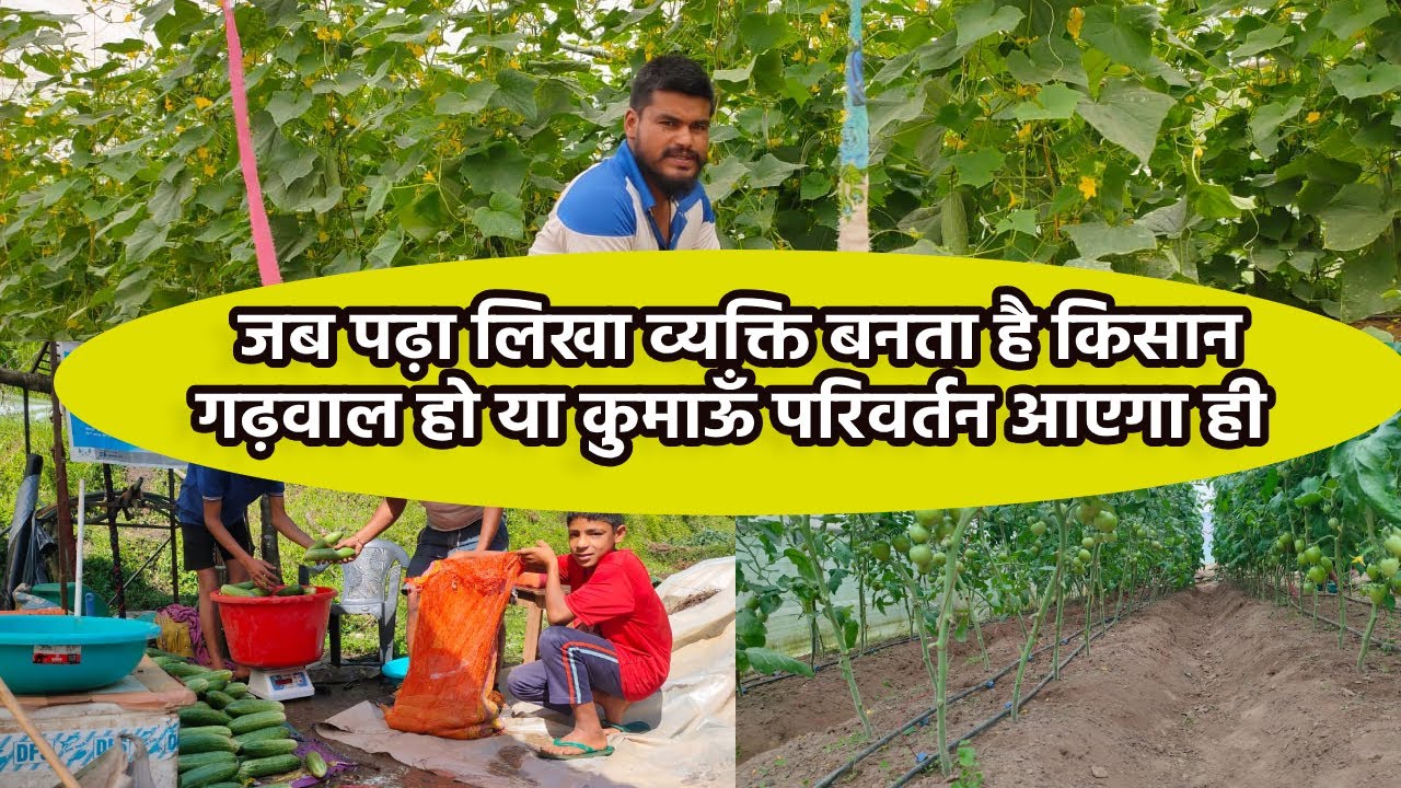 देखिये कैसे इस भाई ने कमाल की खेती की है || Harendra Shah || Pahado Ka ...