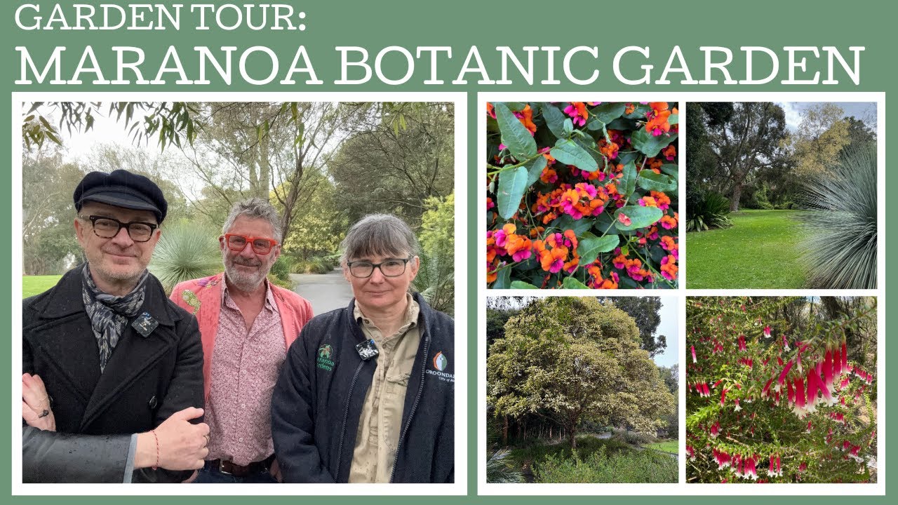 Garden Tour: Maranoa Botanic Garden - YouTube