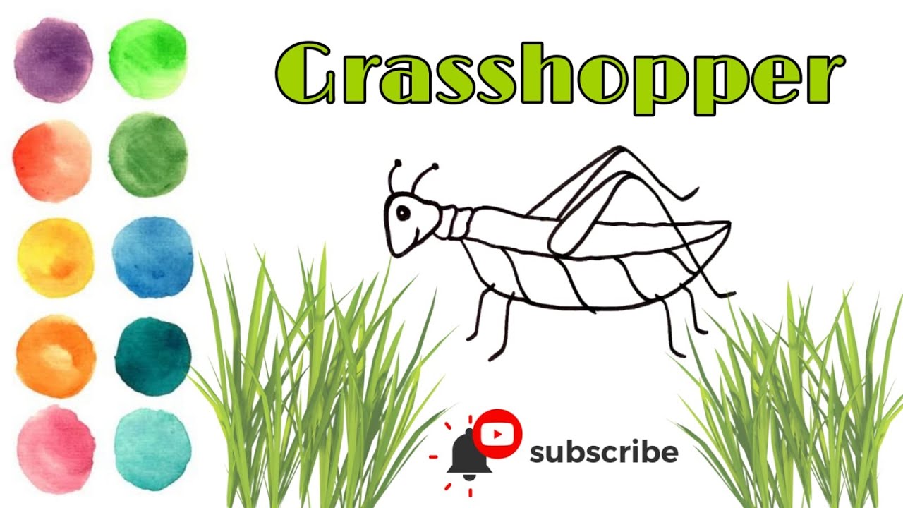 How to Draw Grasshopper | Easy & Simple Drawing of Grasshopper For ...
