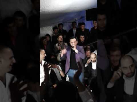 bileceri toyu