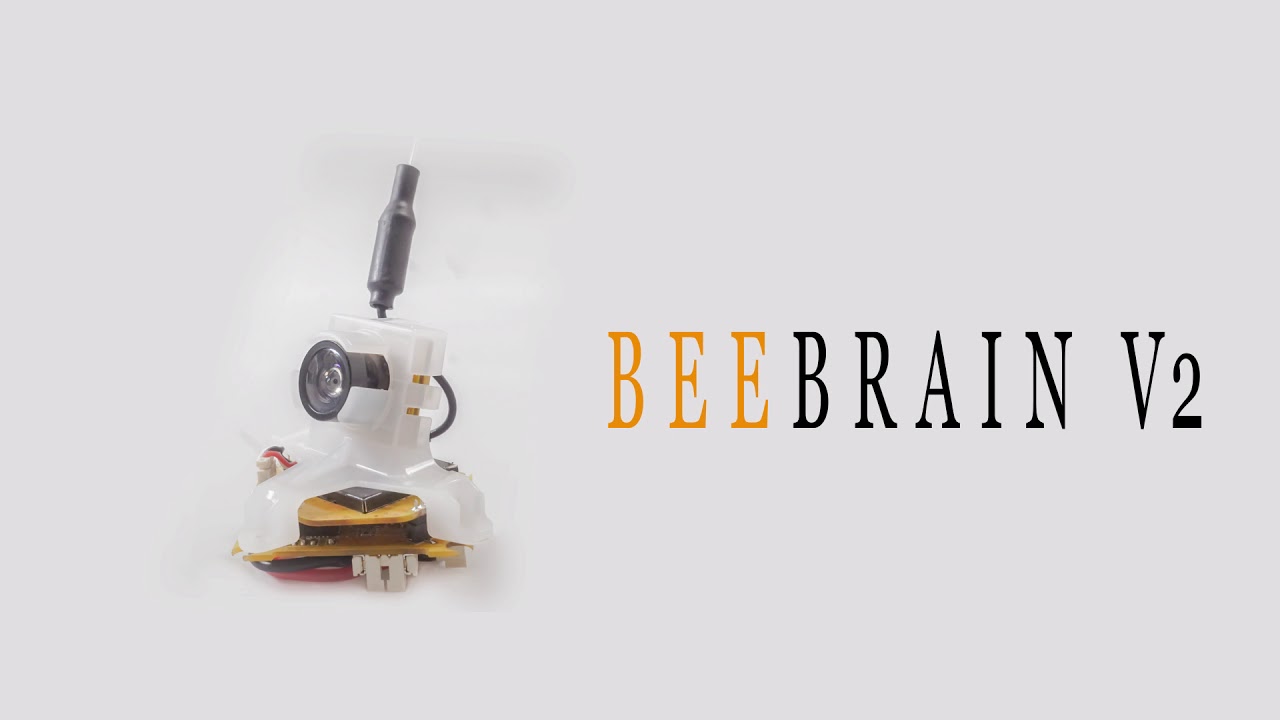 Beebrain V2 - YouTube