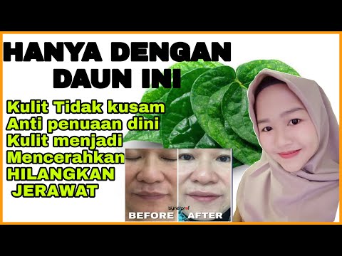 1000 MANFAAT DAUN SIRIH UNTUK KECANTIKAN WAJAH | Bebas Kusam dan Jerawat