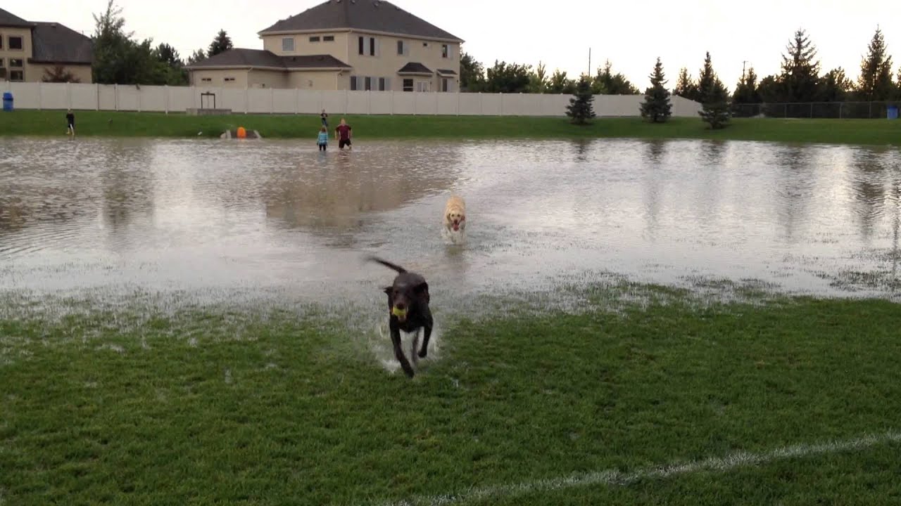 Crazy Utah Storm - Playing in the Flood Waters - YouTube
