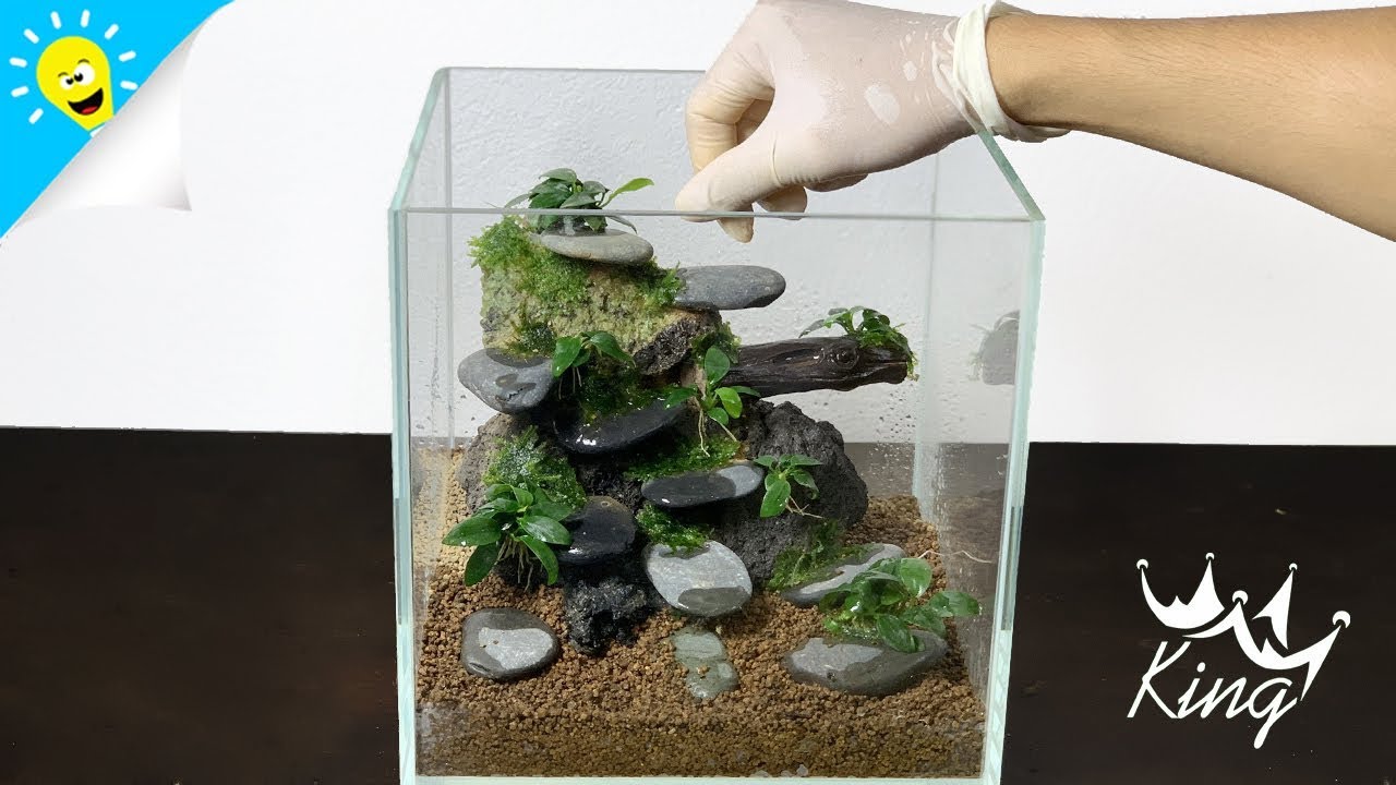 DIY Miniature Aquarium Fish Tank - Planted Aquarium Setup Ideas - DIY ...