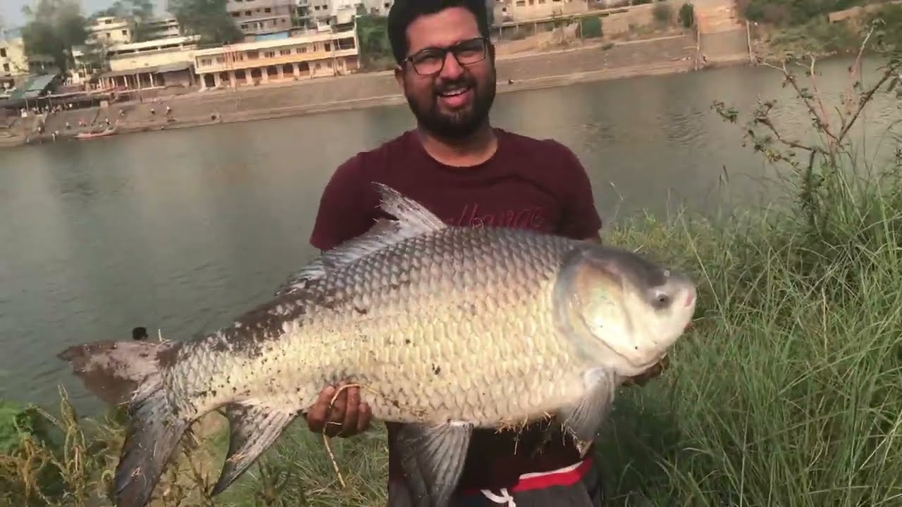 katla fish 30kg katla / Big Size katla - YouTube