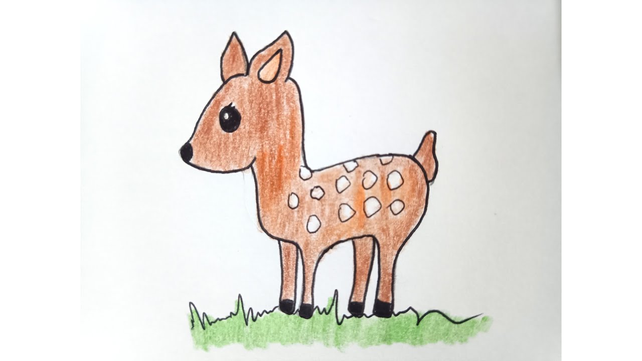How to draw a deer/ step by step drawing for beginners - YouTube