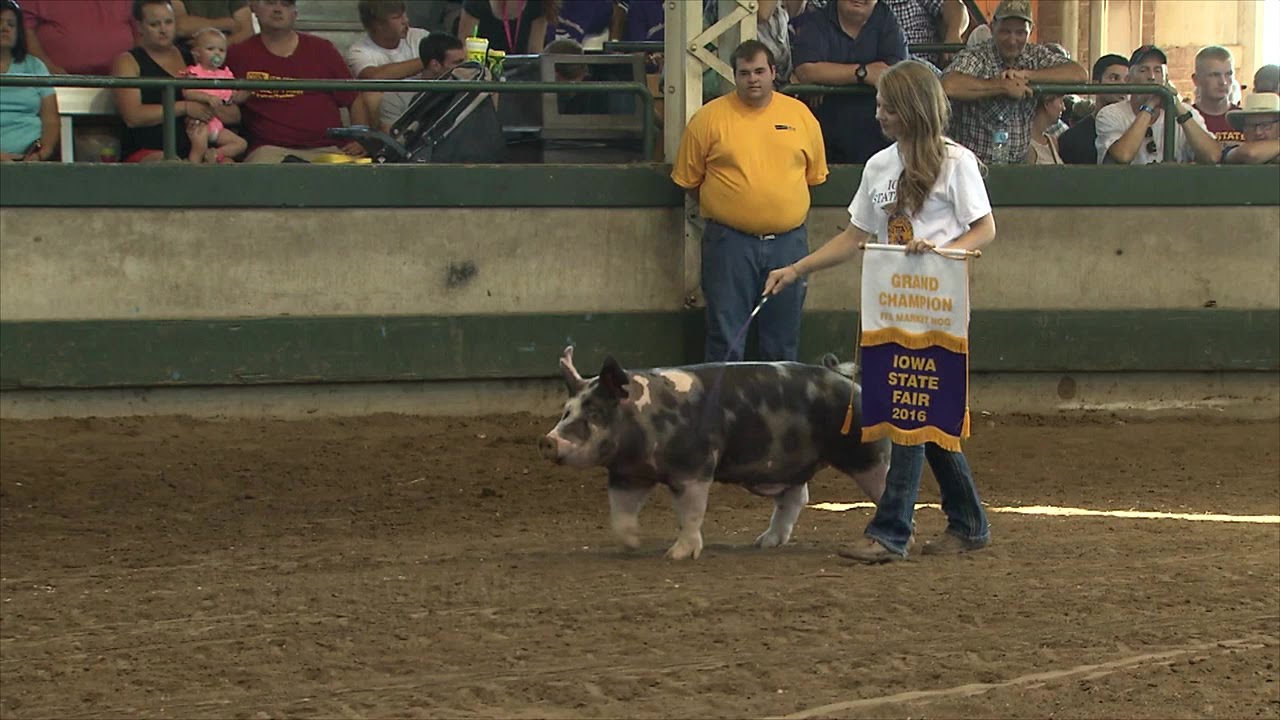 FFA Parade of Champions - YouTube