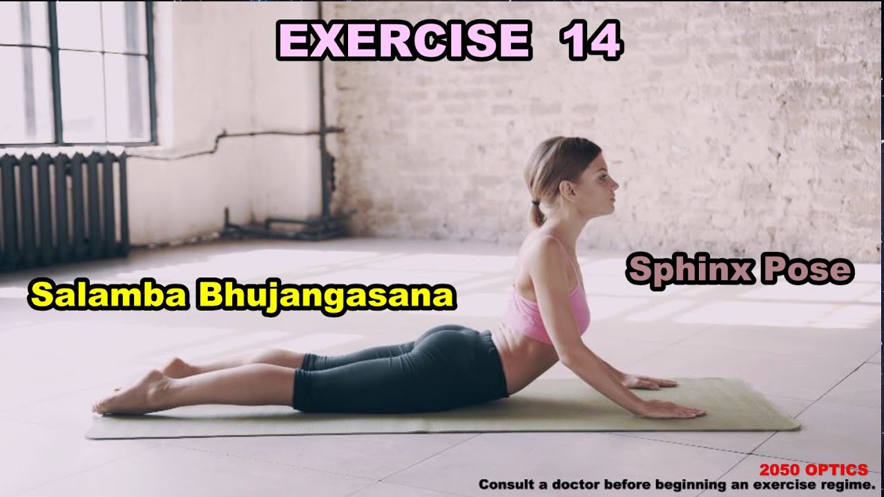 EXERCISE 14: Sphinx Pose Salamba Bhujangasana - YouTube