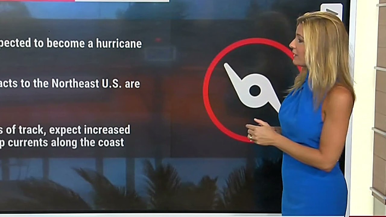 Jen Carfagno - The Weather Channel - 081921 Royal Blue Dress - Profile ...
