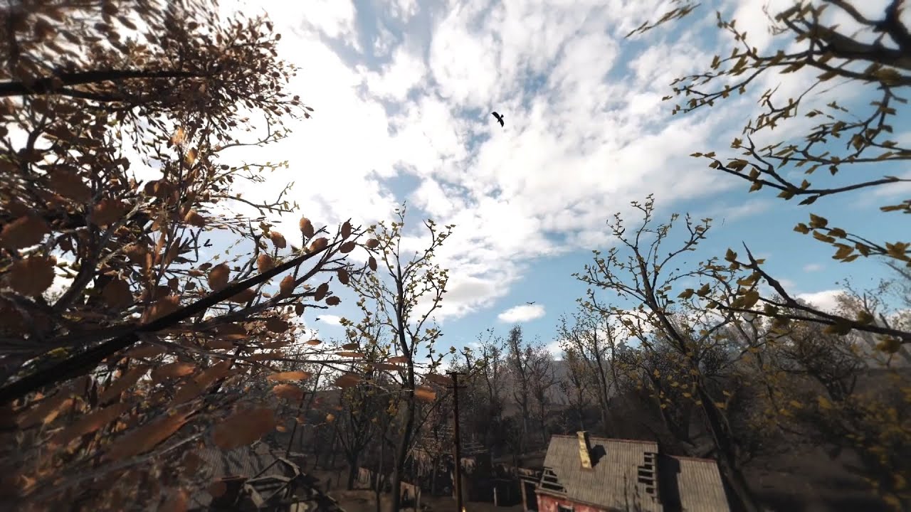 Stalker Anomaly Gamma Cordon montage feat. Gardener of the Zone v3.1 ...