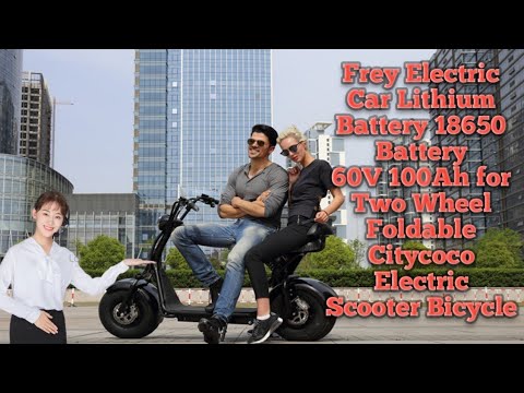 Frey Electric Car Lithium Battery 18650 Battery60V 100Ah for Two Wheel ...