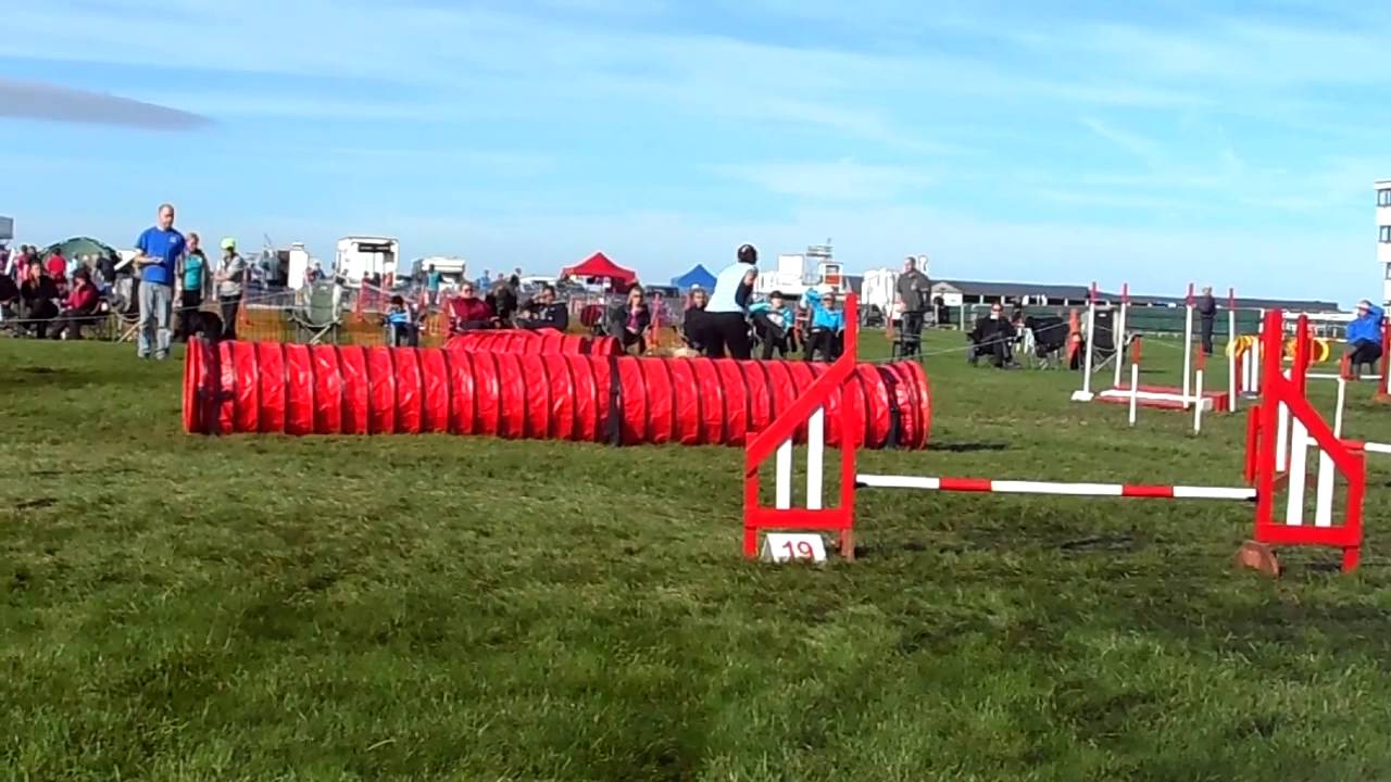 Lily Champ jumping Chippenham - YouTube