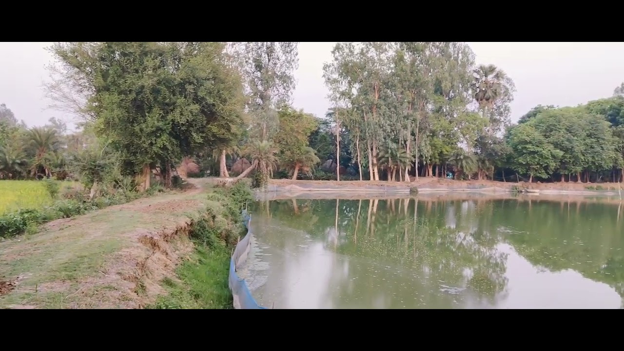 #nature #village Refreshment. - YouTube