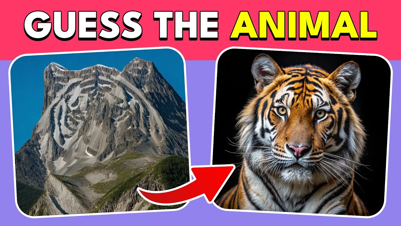 Guess the Hidden Animals by ILLUSIONS 🦁🐈🐵 Optical Illusion | Quiz Bee ...
