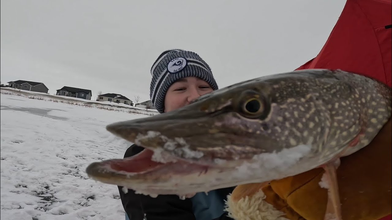 Pike Fishing a Small Pond! (WE CAUGHT A GIANT) - YouTube