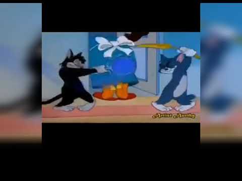 Tom and Jerry Ultimate Thug Life|😂💕💖💝💘💟💙💚👌😎😘😎😎😎😘😝😝😘😎😂😂😂😂 - YouTube