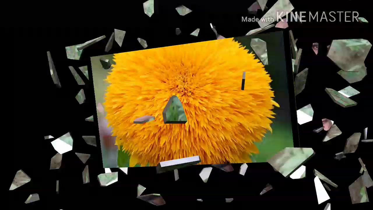 1 November 2019 - YouTube