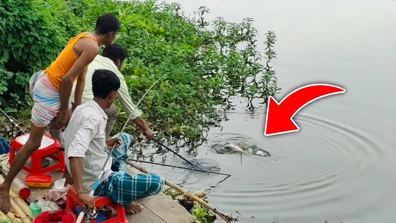 উন্মুক্ত জলাশয় জাদুকরি টোপ দিয়ে পতি হিটে রুই মাছ শিকার 🔥🎣 Fishing ...