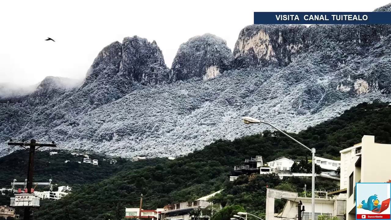 Se registra nevada en el Cerro de Chipinque en Nuevo León - YouTube