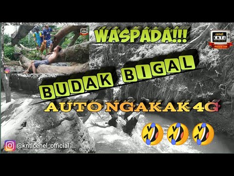 BUDAK BIGAL_AUTO NGAKAK 4G_FLEM PENDEK_#KNTL CENEL_#PAGARALAM