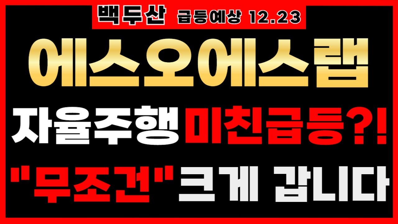 에스오에스랩 미친급등 여기까지 갑니다 자율주행차관련주 테슬라 일론머스크 전략 목표가 확인하시고 대박내세요 추천 목표가 주가전망