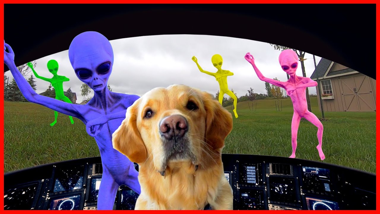 Colorful ALIEN Dance party FOR KIDS - With Ty the Golden Retriever ...