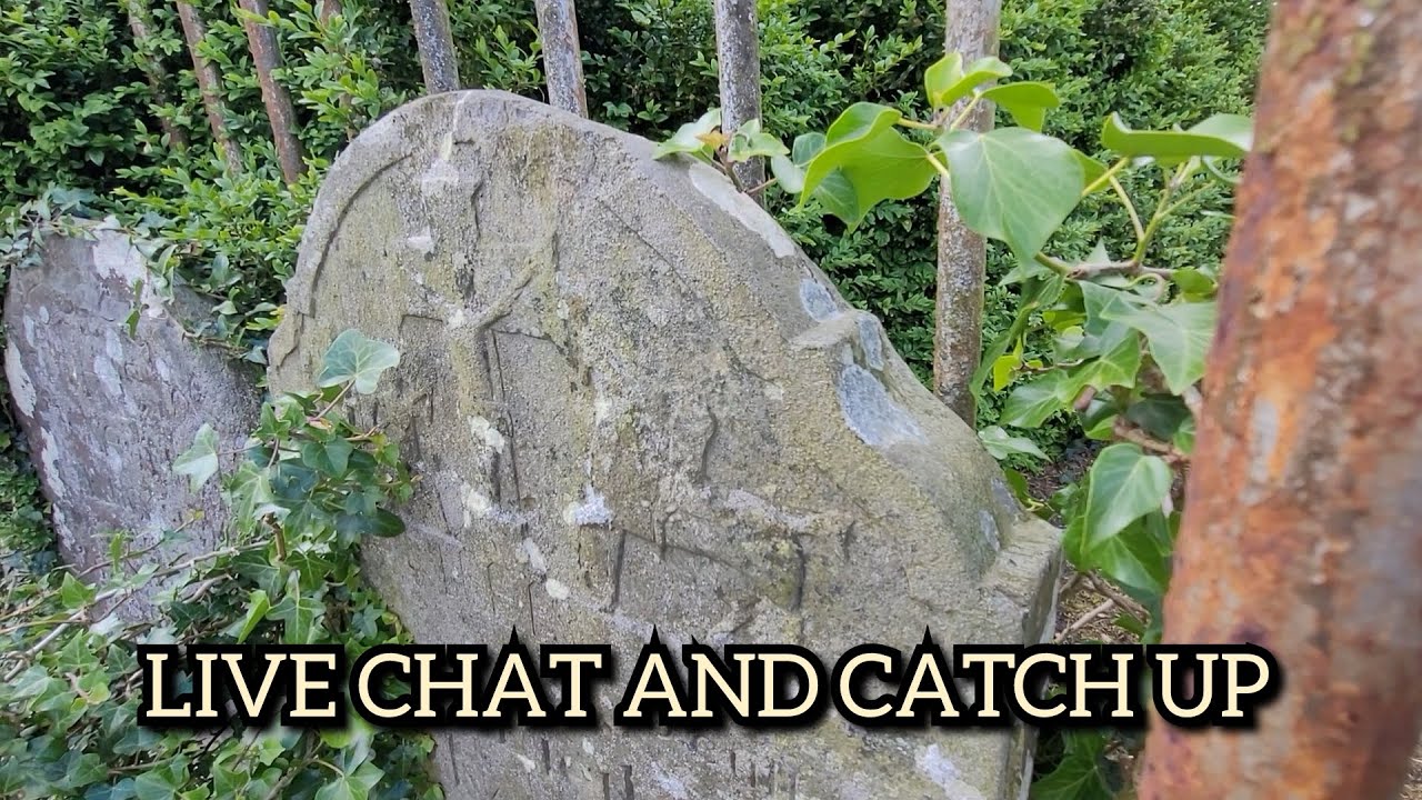 Live chat and catch up - YouTube