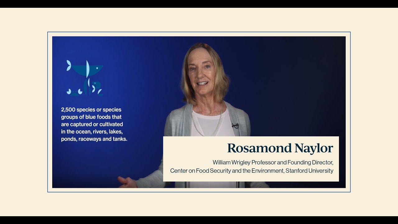Introducing the Blue Food Assessment | Global Launch Event - YouTube