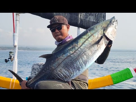 Popping Monster Tenggiri || King Fish Mackerel - YouTube