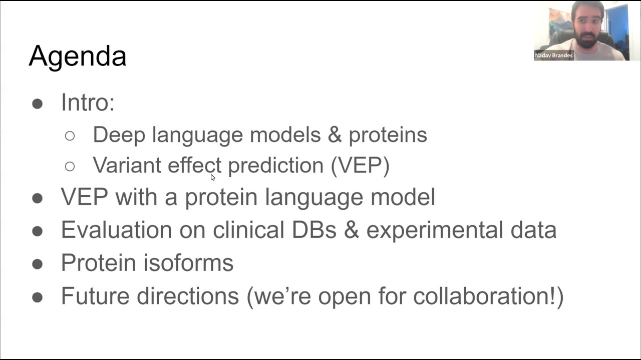 Genome-wide prediction of disease variants with a deep protein language ...
