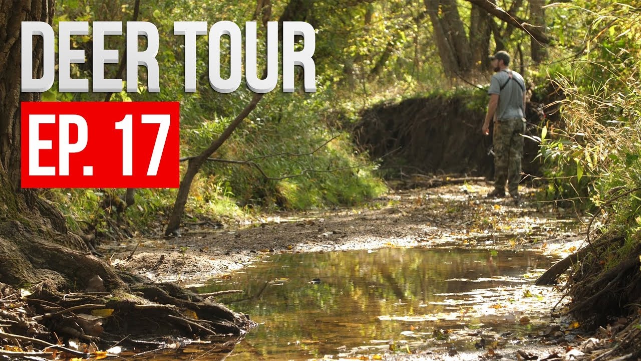 Scouting BUCK NEST, Deer Hunting in HOT Weather - DEER TOUR E17 - YouTube