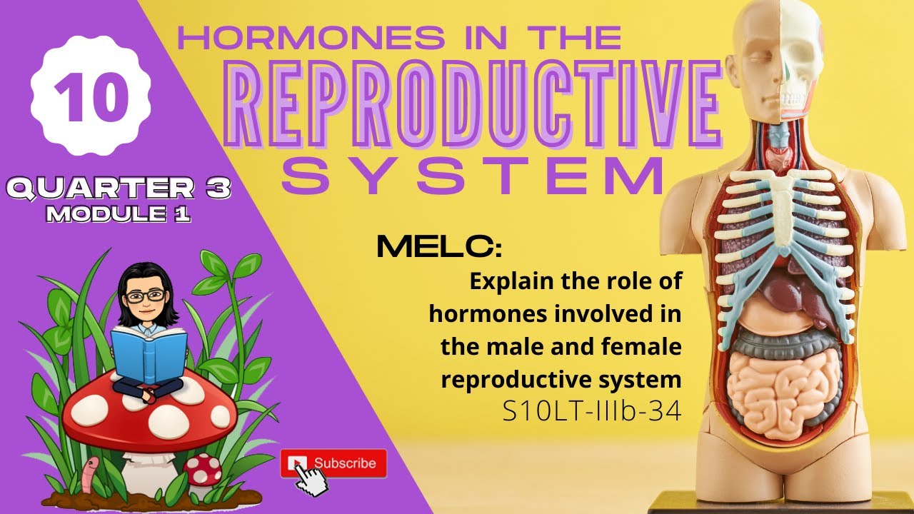Grade 10 SCIENCE Quarter 3 Module 1 Hormones In The Reproductive System YouTube grade-10-science-quarter-3-module-1-hormones-in-the-reproductive-system-youtube