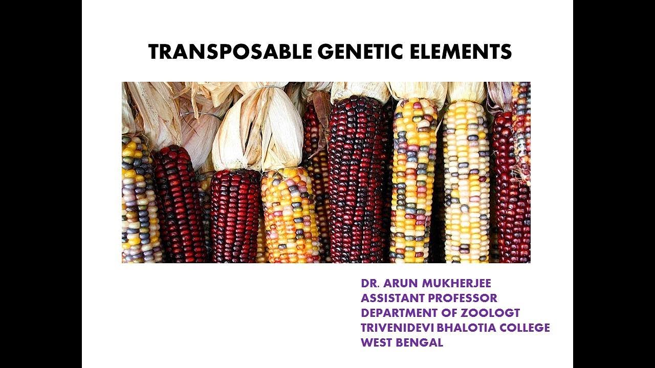 Transposable genetic elements# Jumping genes# Mobile genetic elements ...