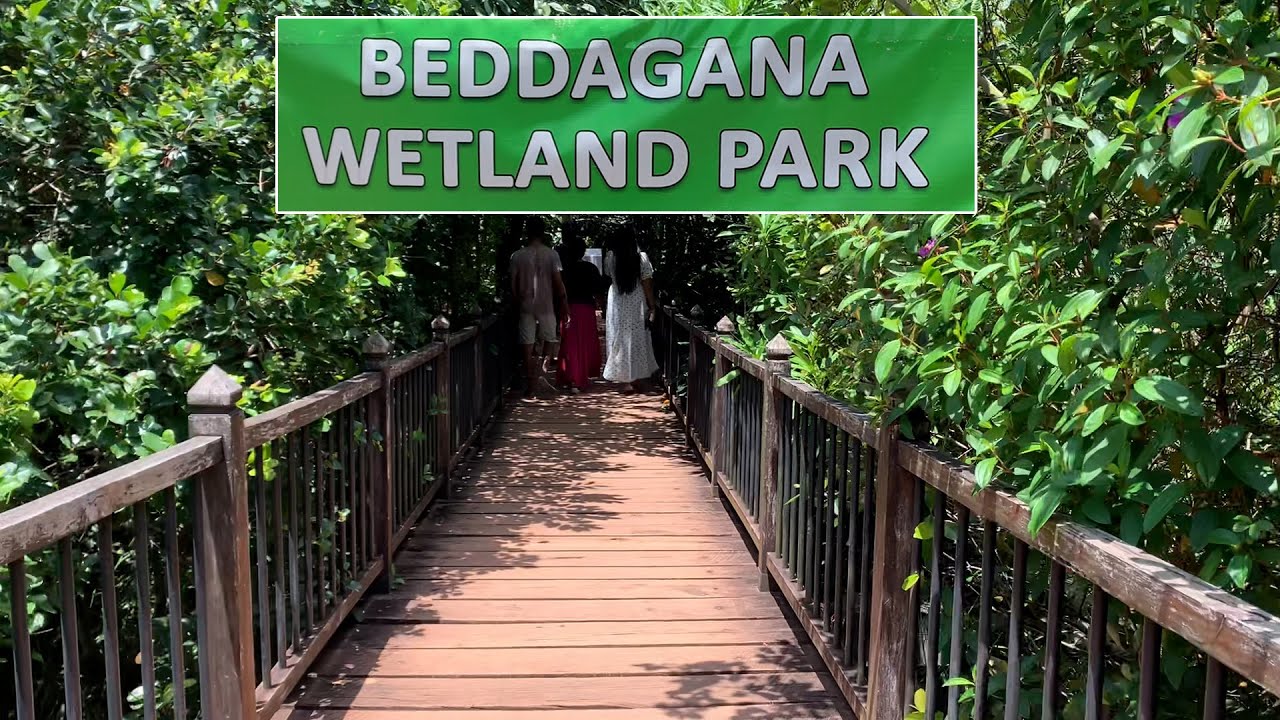 Beddagana Wetland Park Colombo Youtube