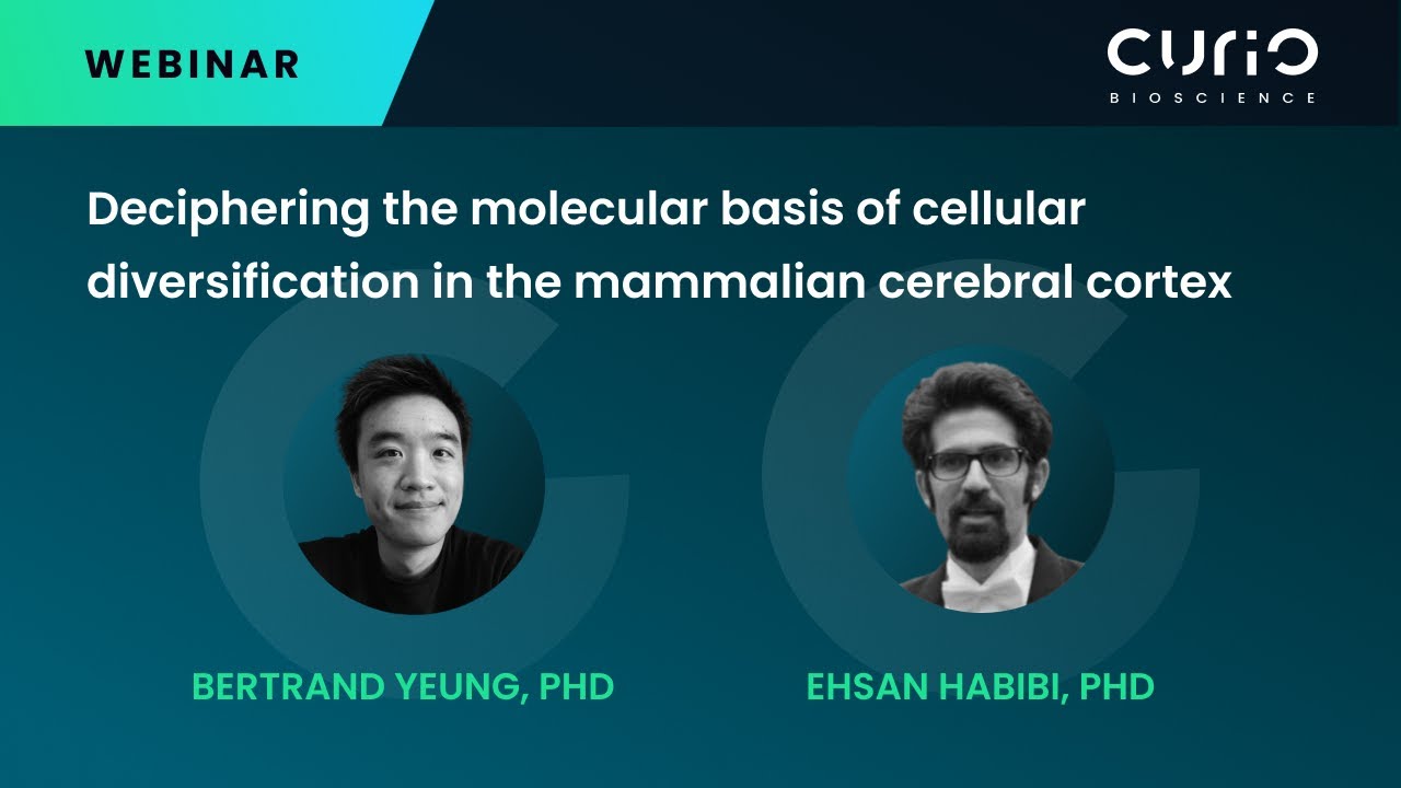 Deciphering The Molecular Basis Of Cellular Diversification In The