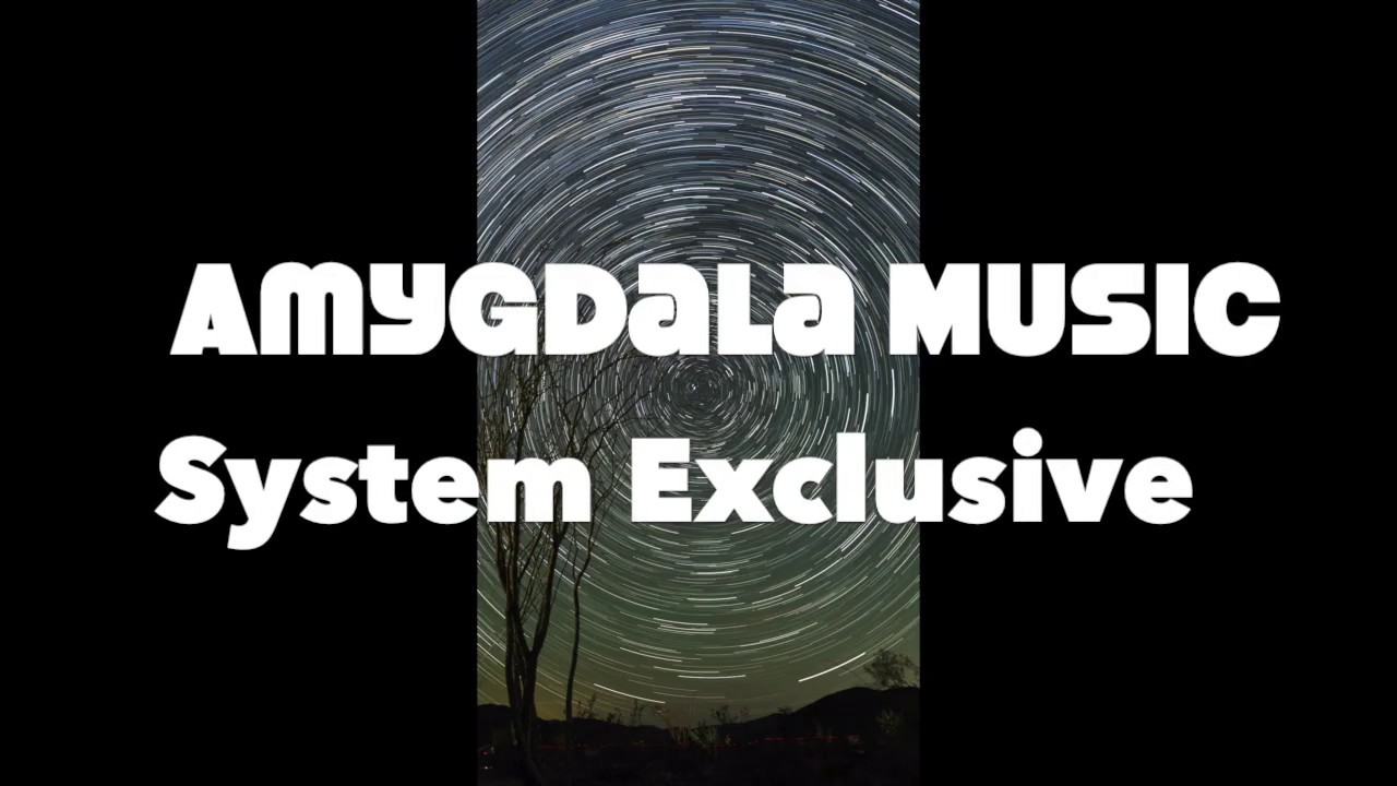 AMYGDALA MUSIC - SYSTEM EXCLUSIVE - YouTube