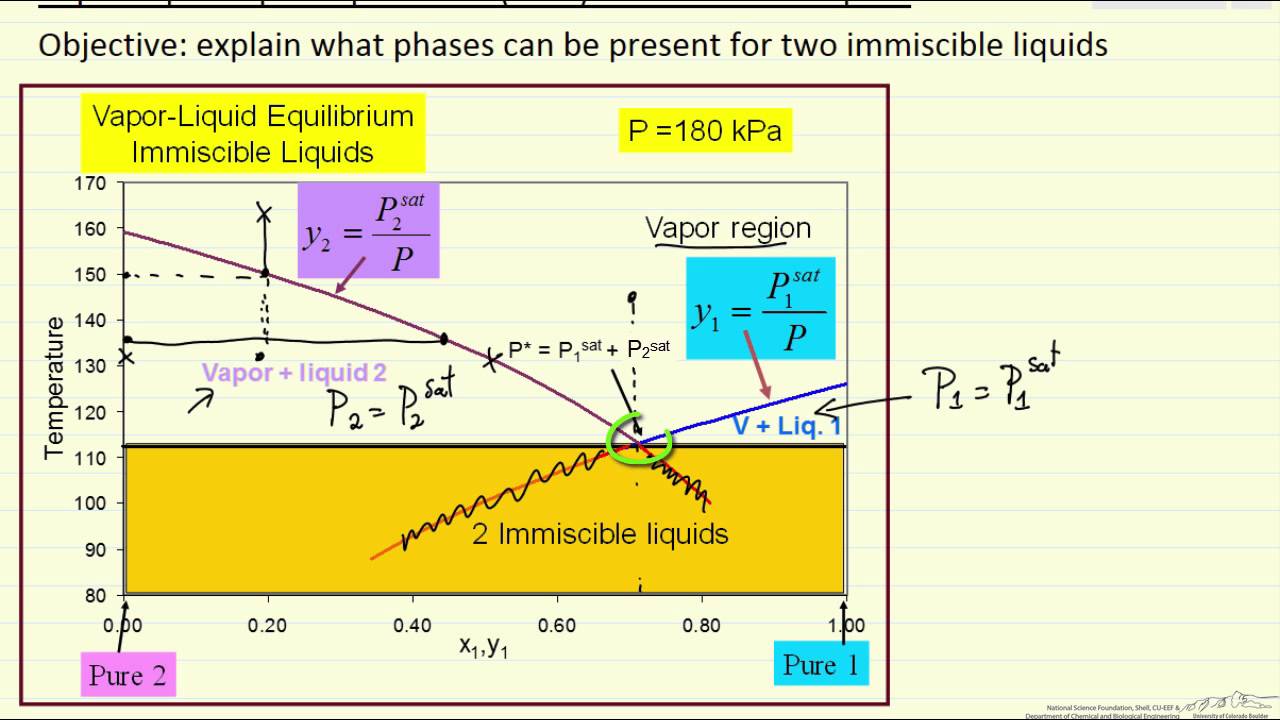 VLLE for Immiscible Liquids - YouTube