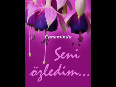 Hayaléte Cawéminda Darnékét .. (fero)