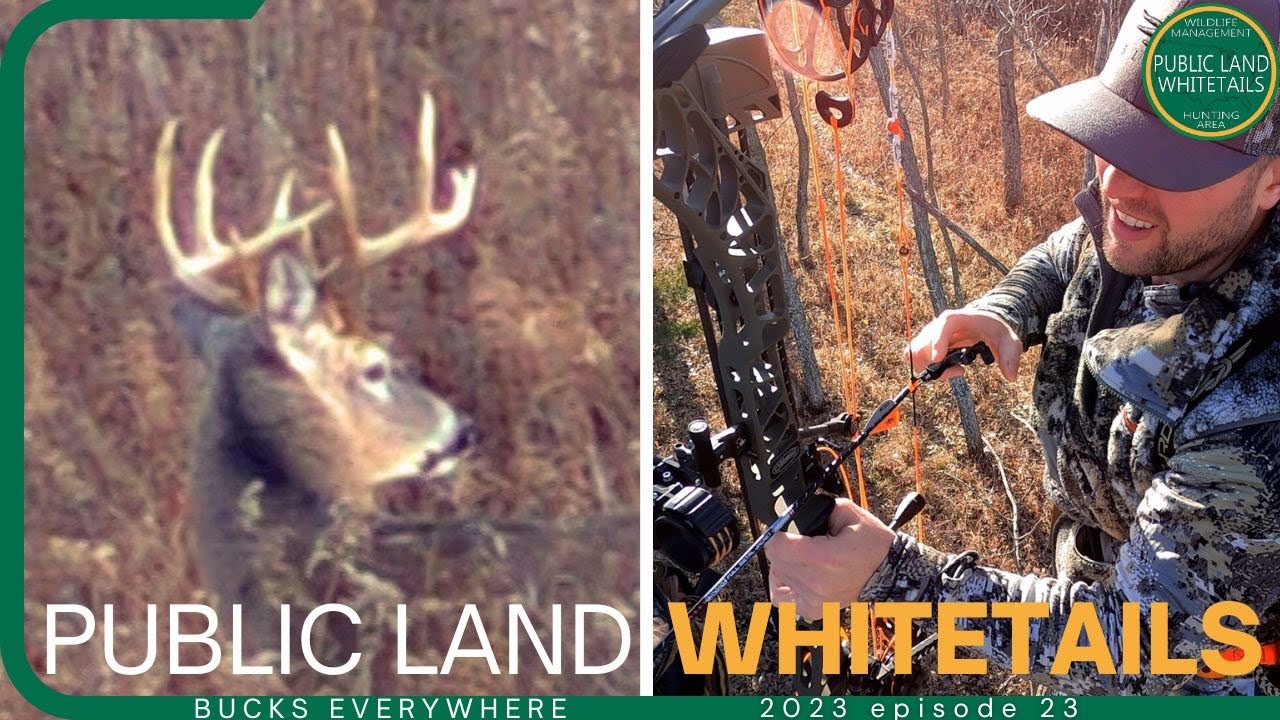Bucks, Bucks & More Bucks, Hunting Public Land Doe Bedding In The Rut ...